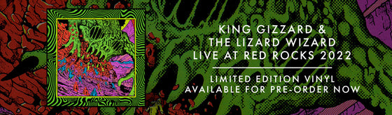 A Beginner's Guide into the Gizzverse – LEVITATION