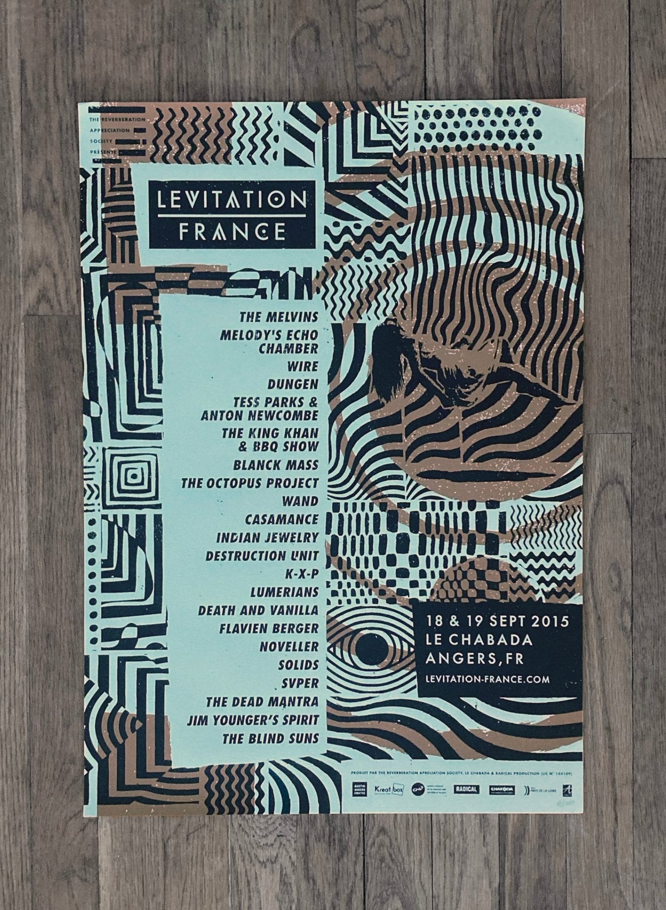 Levitation France 2015 Poster by Rob Fitzpatrick – LEVITATION
