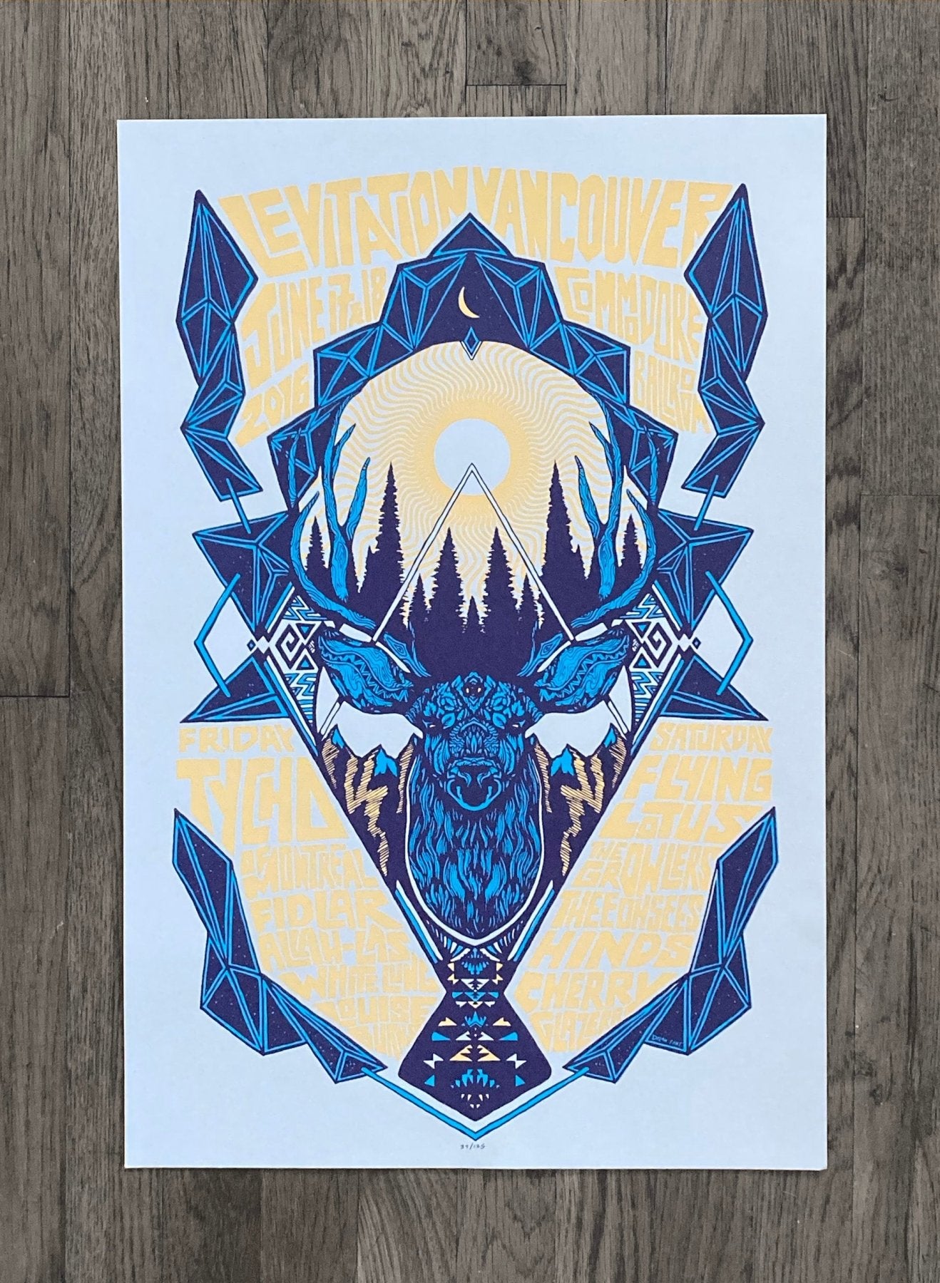 Levitation Vancouver 2016 Poster by Dylan Fant – LEVITATION